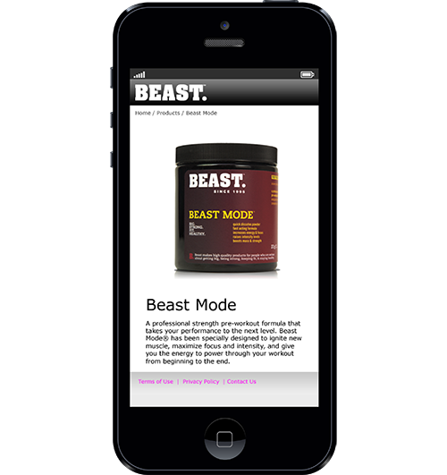 Beast – Relaunching a Consumer Sports Product | Andrew La Monica
